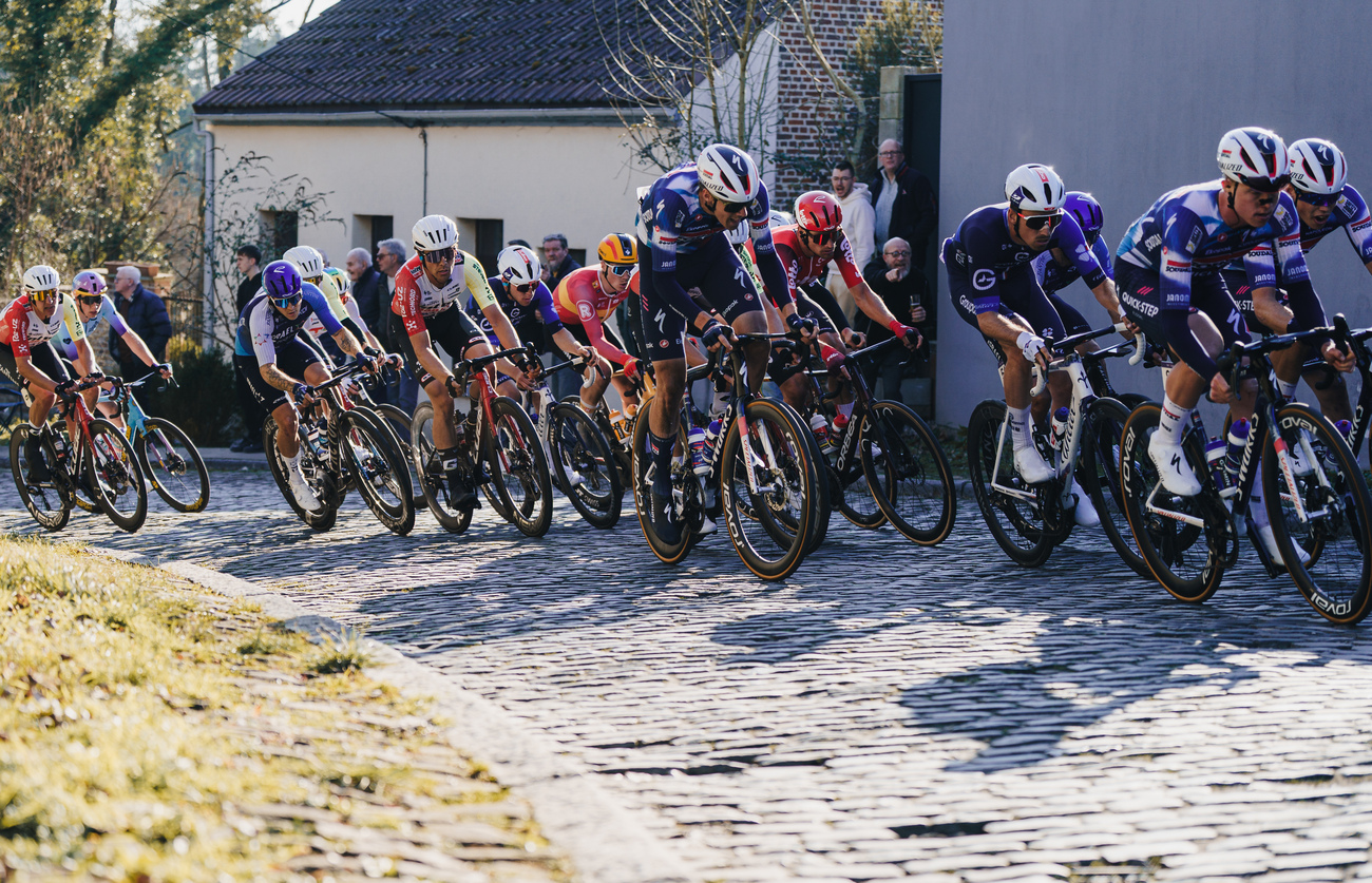 Ename Samyn Classic 2026 - Le parcours et le profil - TotalVelo